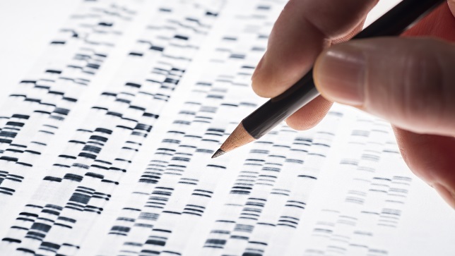 ‘Human Knockout Project’ Explores What Happens When Genes Are Broken ...