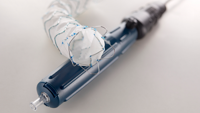 FDA: Class I Recall for Cook’s Thoracic Endovascular Grafts | tctmd.com