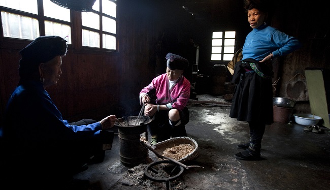 Solid Fuels Used for Cooking and Heating Pose Cardiovascular and ...