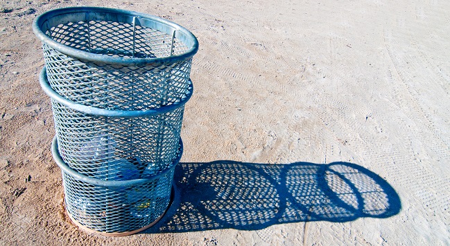 TAVR Debris Captured by Sentinel Embolic Protection Differs by Valve ...