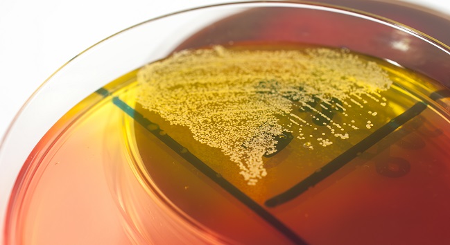 POET: Oral Antibiotics Continue to Show Good Long-term Results for ...