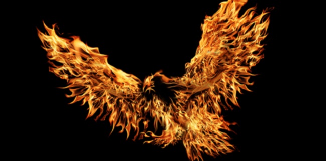 Firehawk Stent Still Holds Up Well to Xience at 2 Years: TARGET All ...