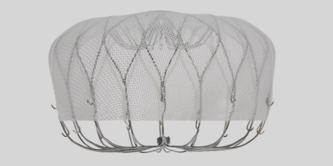 PINNACLE FLX: New-Generation Watchman Has High Closure Rates, Good ...