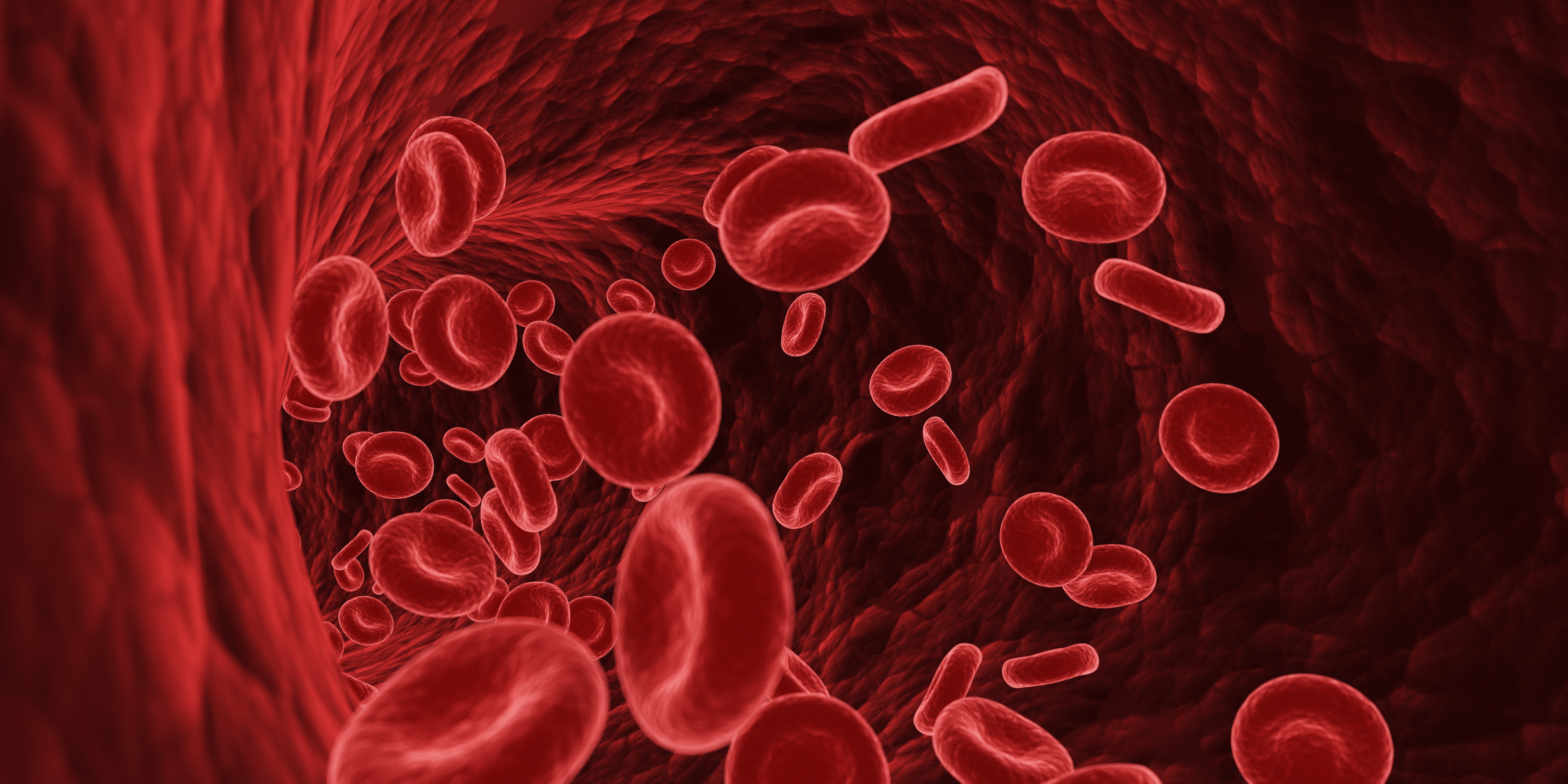 Factor XIa Inhibitors Show Potential for Safer Anticoagulation After MI ...
