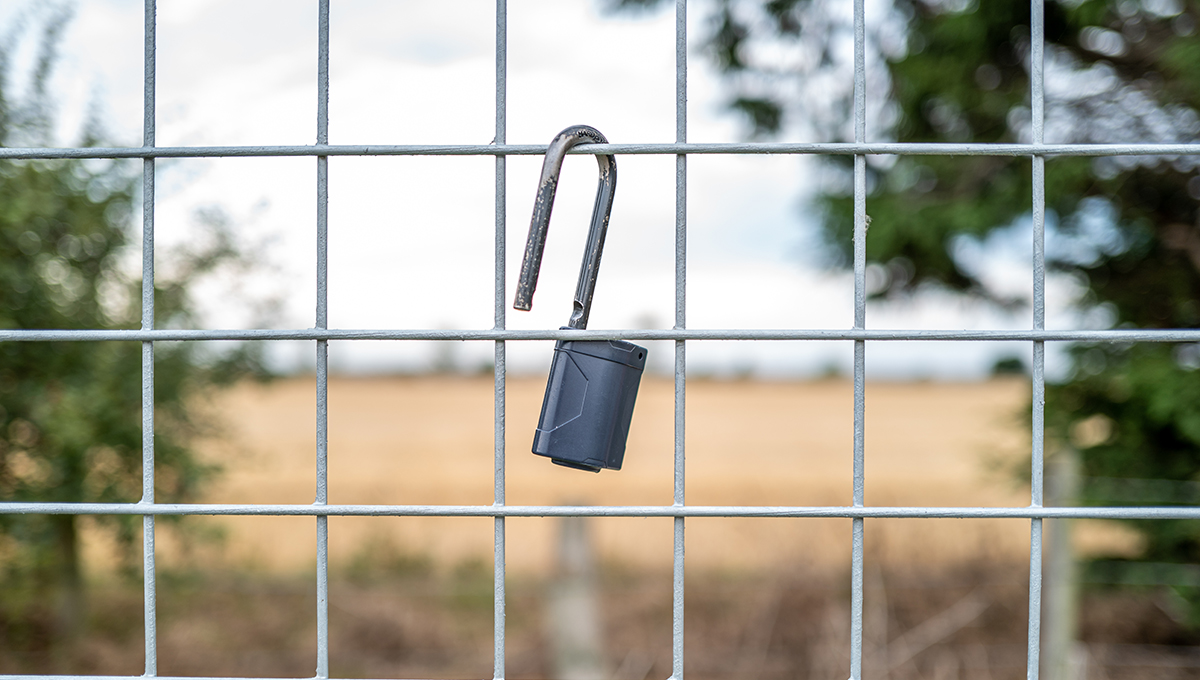 Solid 2-Year Data With ‘Unlocking’ Coronary Stent: BIOADAPTOR RCT ...