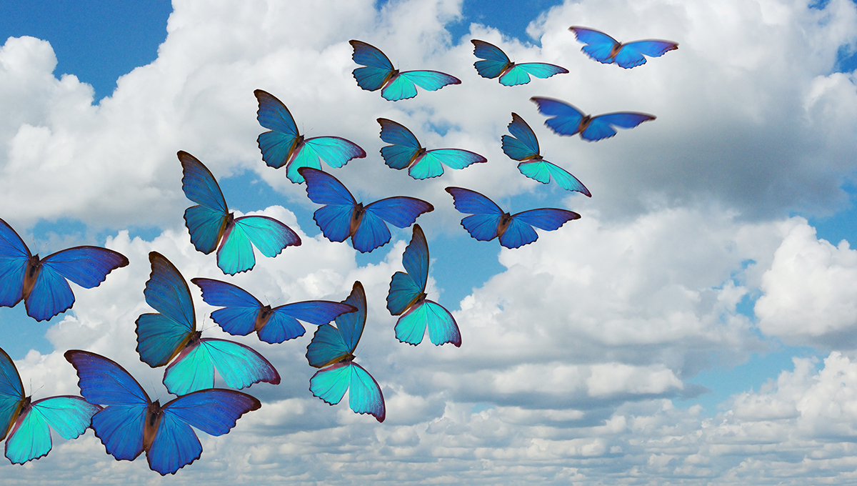 Once Burned, Twice Shy, Cardiologists Ditch X for Bluesky | tctmd.com