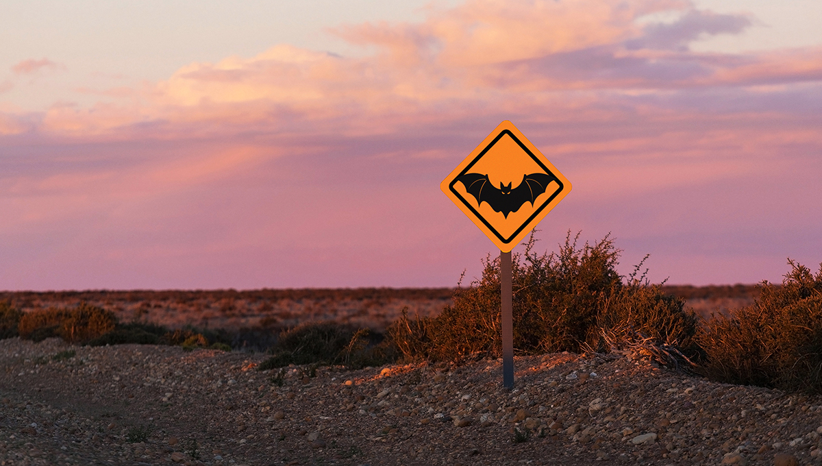 BATMAN Signals New Way to Prevent LVOT Obstruction in High-Risk TMVR ...