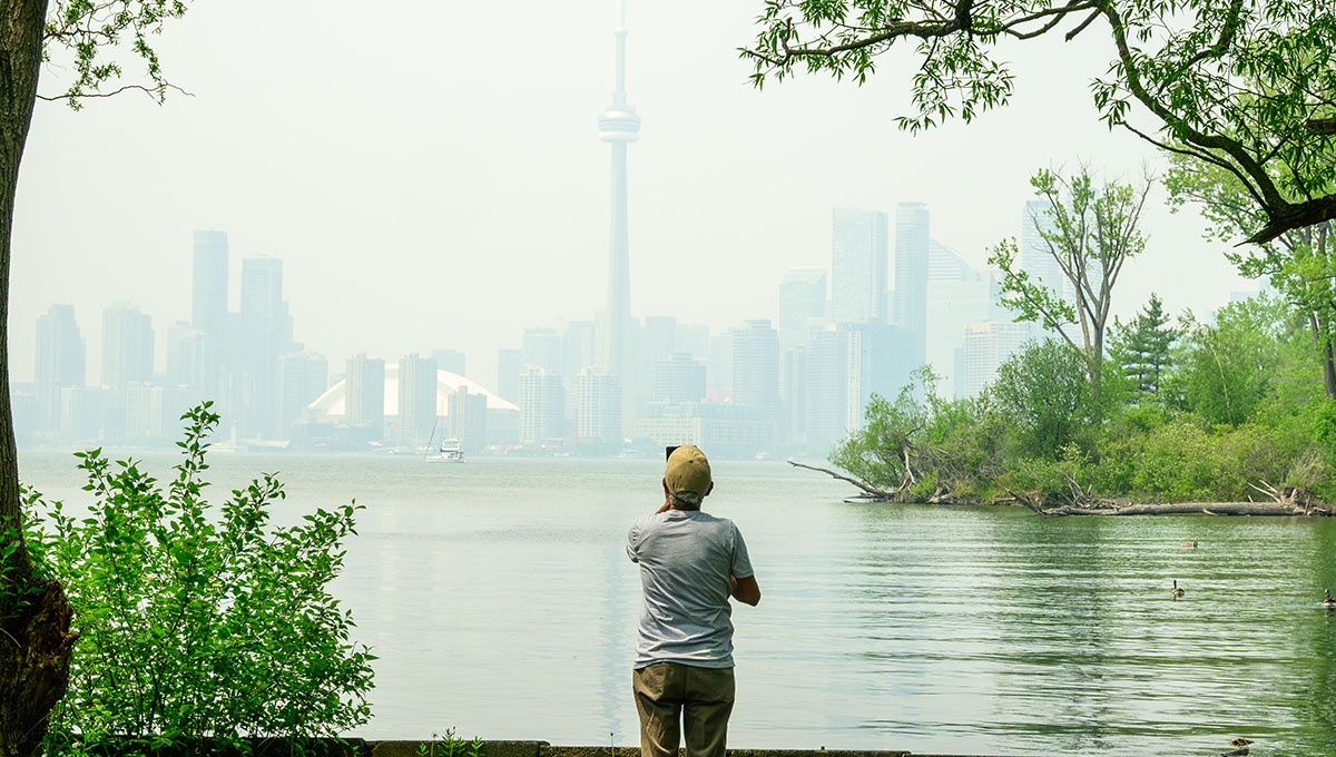 Air Pollution in Canada Ups CAC, Total Plaque, and Obstructive CAD ...