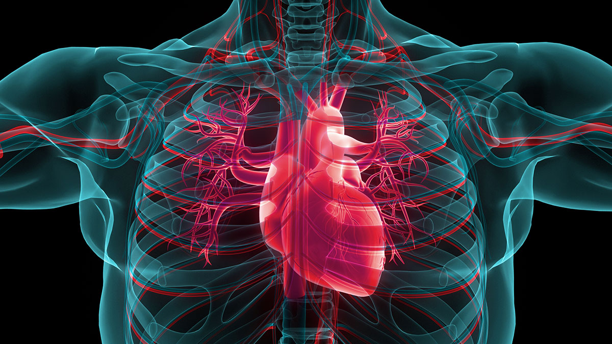 HYPERION: Sotatercept Helps in PAH Even When Started Earlier in the ...