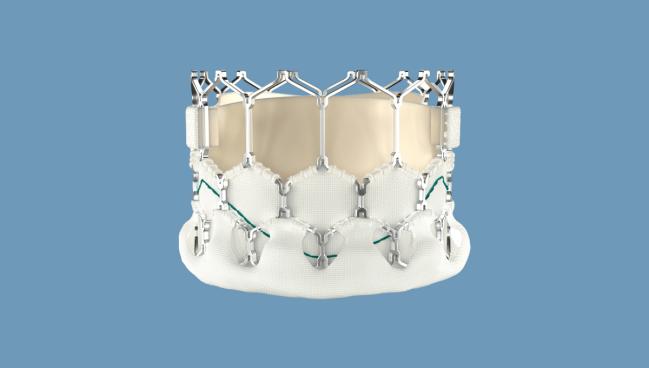 LANDMARK: 2-Year Data Show Continued Safety and Efficacy of Unique TAVI ...
